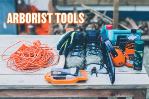 Arborist Sydney | #1 Arborist Supplies Sydney